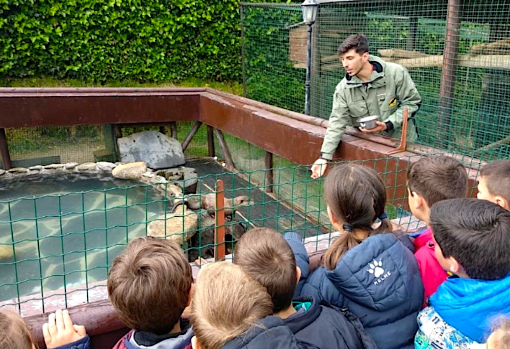 Corax Fauna, el centro educativo y de rescate de la fauna salvaje en ...